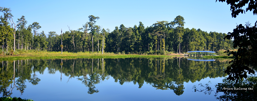 Belbari Municipality | Nepal Guidify